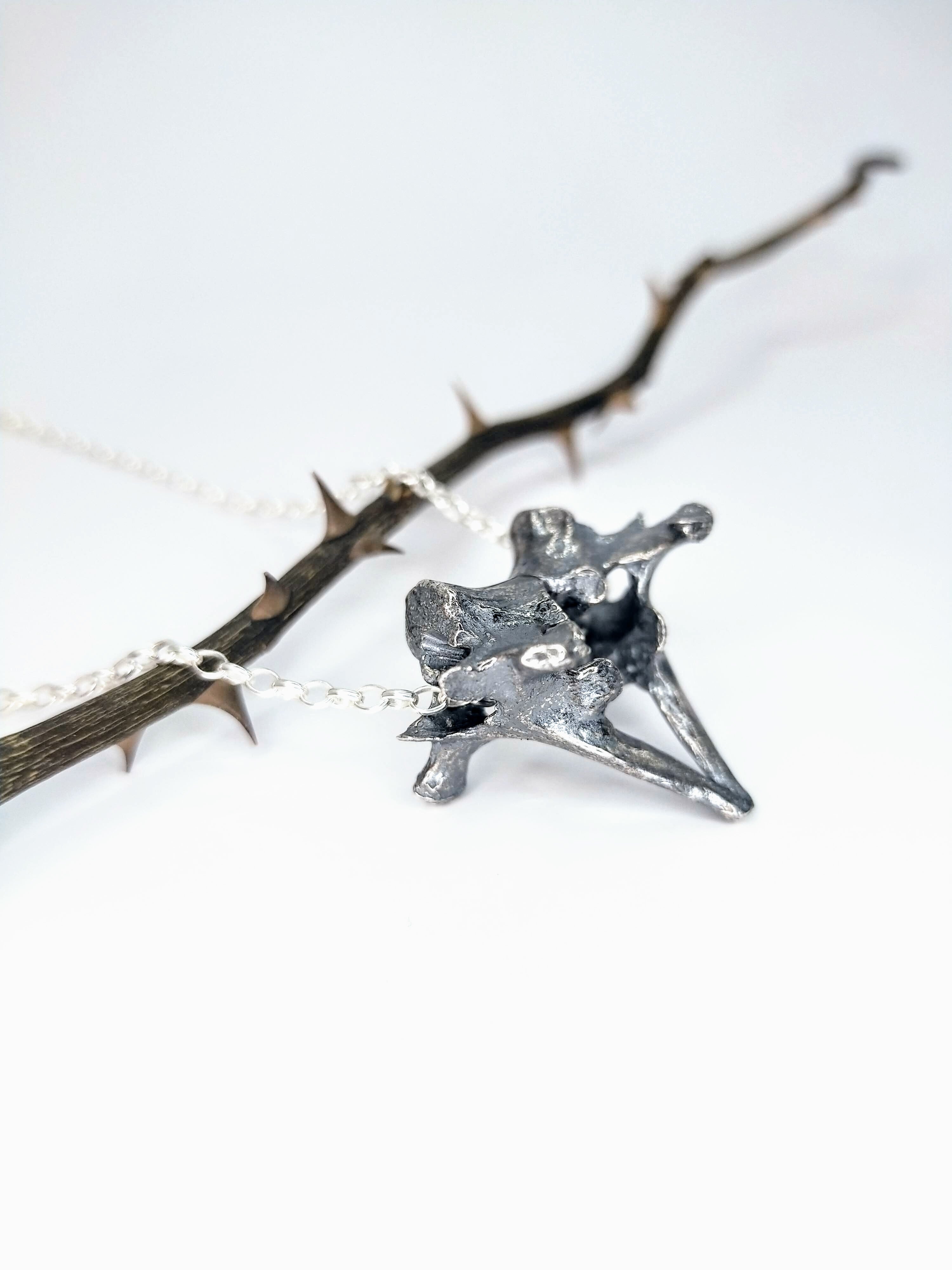 Products – Thorn